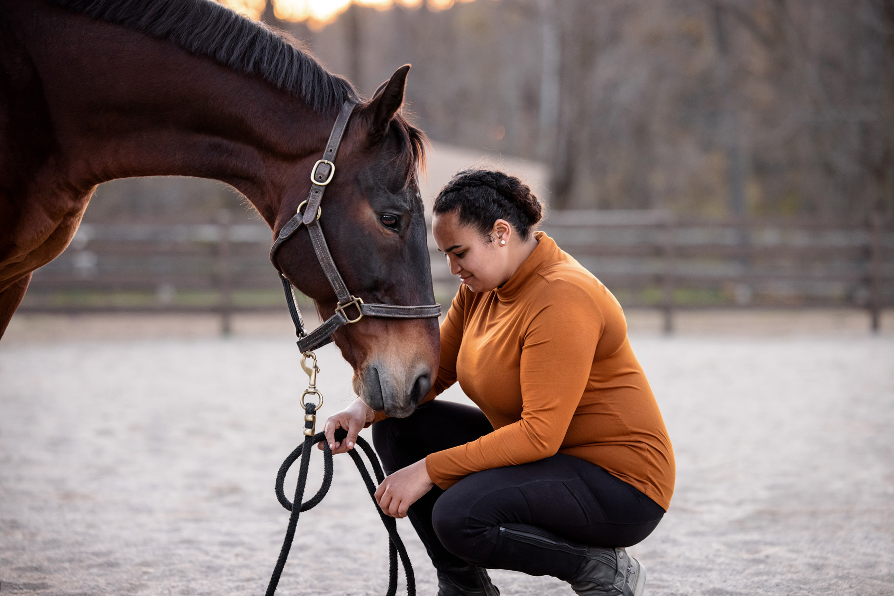 Harmony Equine Center | My Right Horse